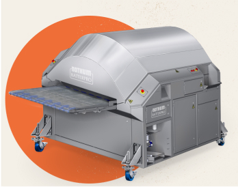 Batter & Tempera | Nothum