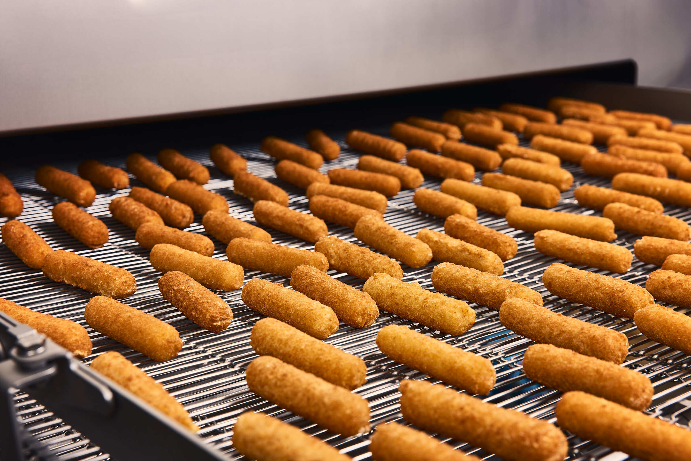 ProTherm Continuous Fryer | Nothum